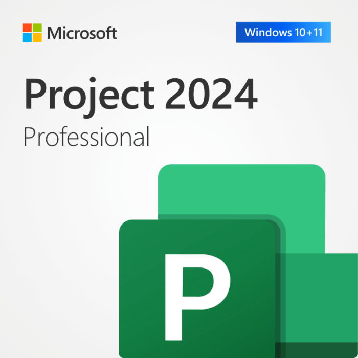 Microsoft Project 2024 Standard – Base License – Download – MacOS ...